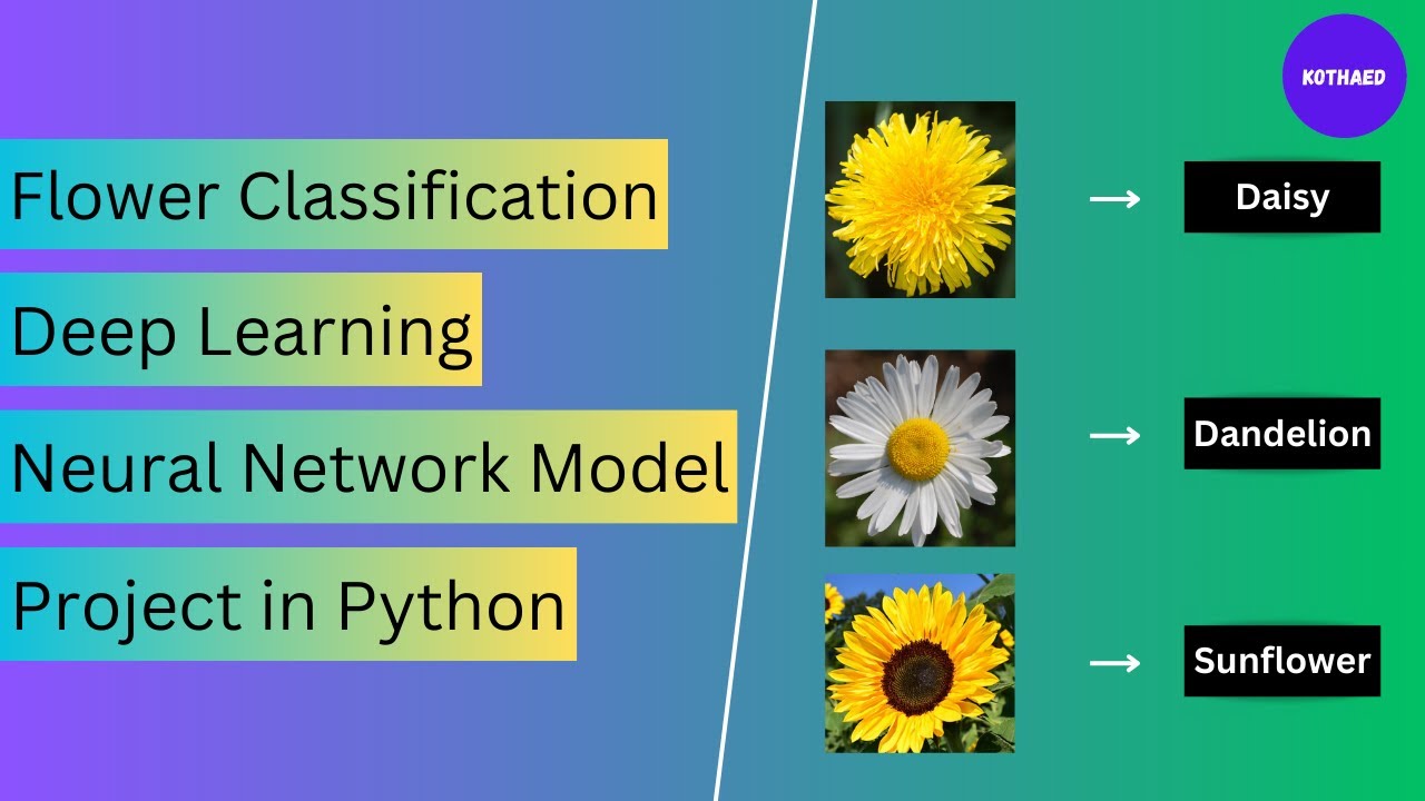 Flower Classification Project In Python Deep Learning Neural Network