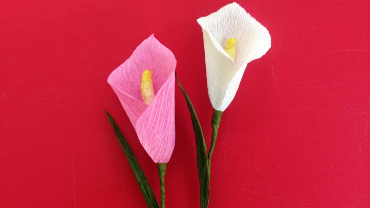 Calla Lily Paper Flower Tutorial Best Flower Site