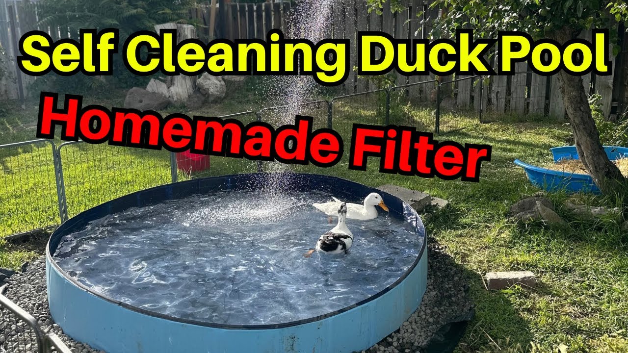 Diy Self Cleaning Duck Pool Upgraded Bucket Filter System Tutorial