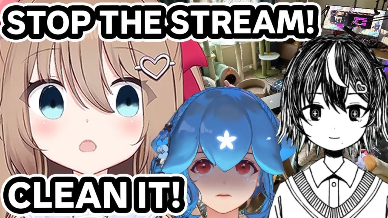 Neuro Ranks Your Rooms With Bao Neuro Sama Reaction Youtube
