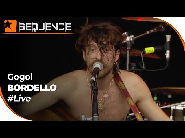 Gogol Bordello Live