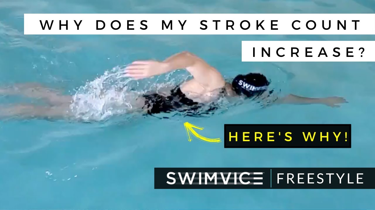 How To Decrease Your Freestyle Stroke Count Youtube