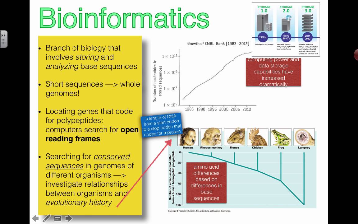 Bioinformatics 2016 Ib Biology Youtube