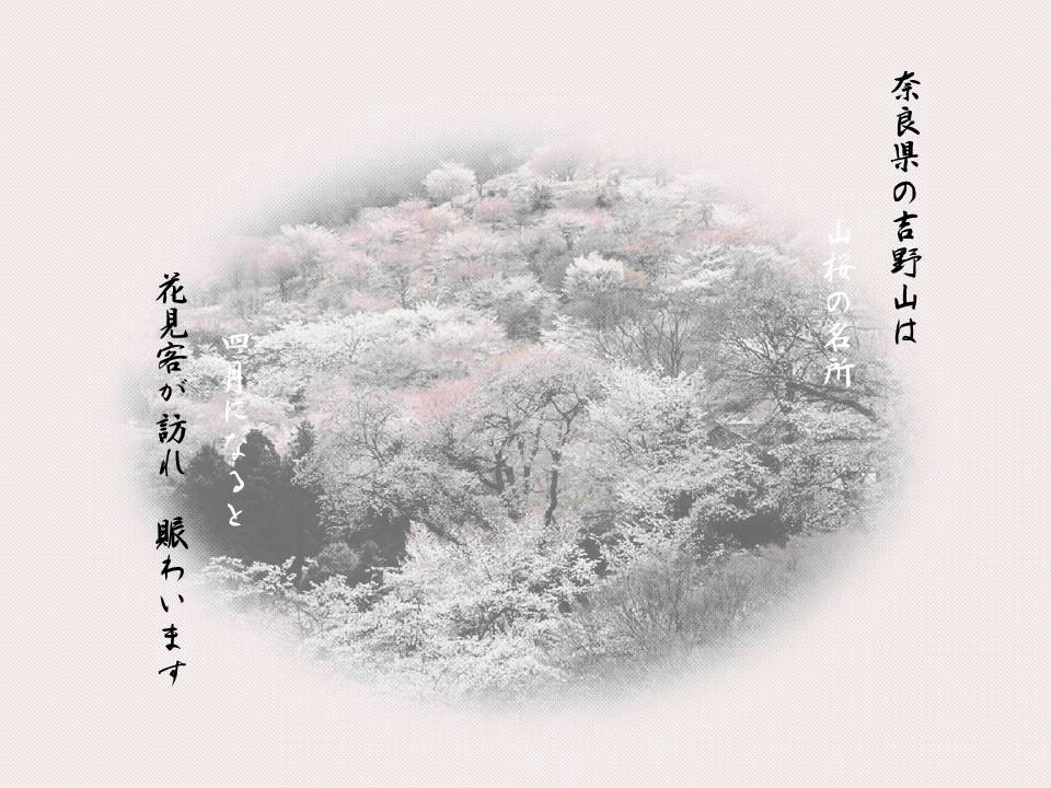 Yosinoyama2 Youtube