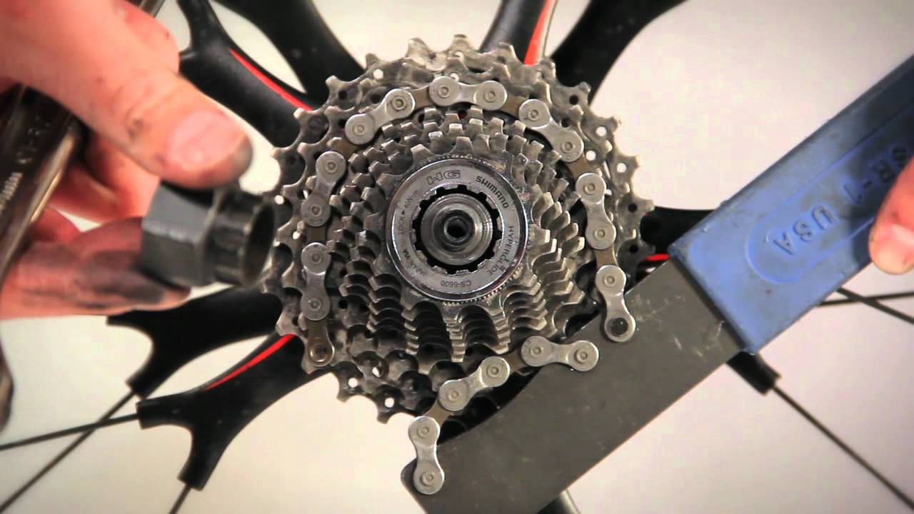 Bike Cassette Removal Without Chain Whip At Francis Manley Blog