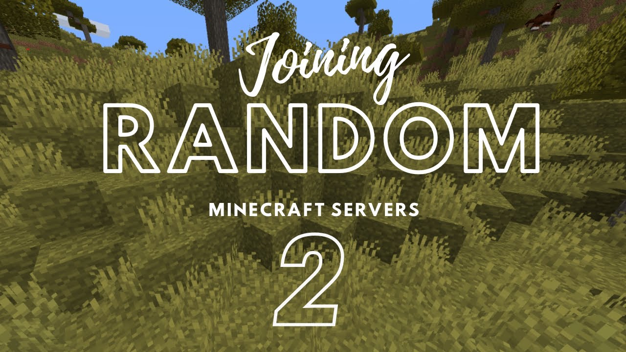 Joining Random Minecraft Servers 2 Youtube