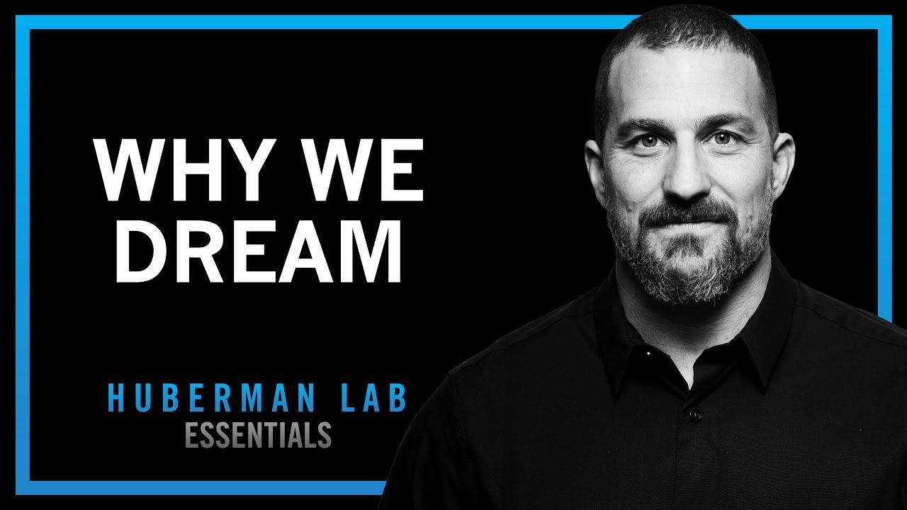 Understand And Use Dreams To Learn And Forget Huberman Lab Essentials