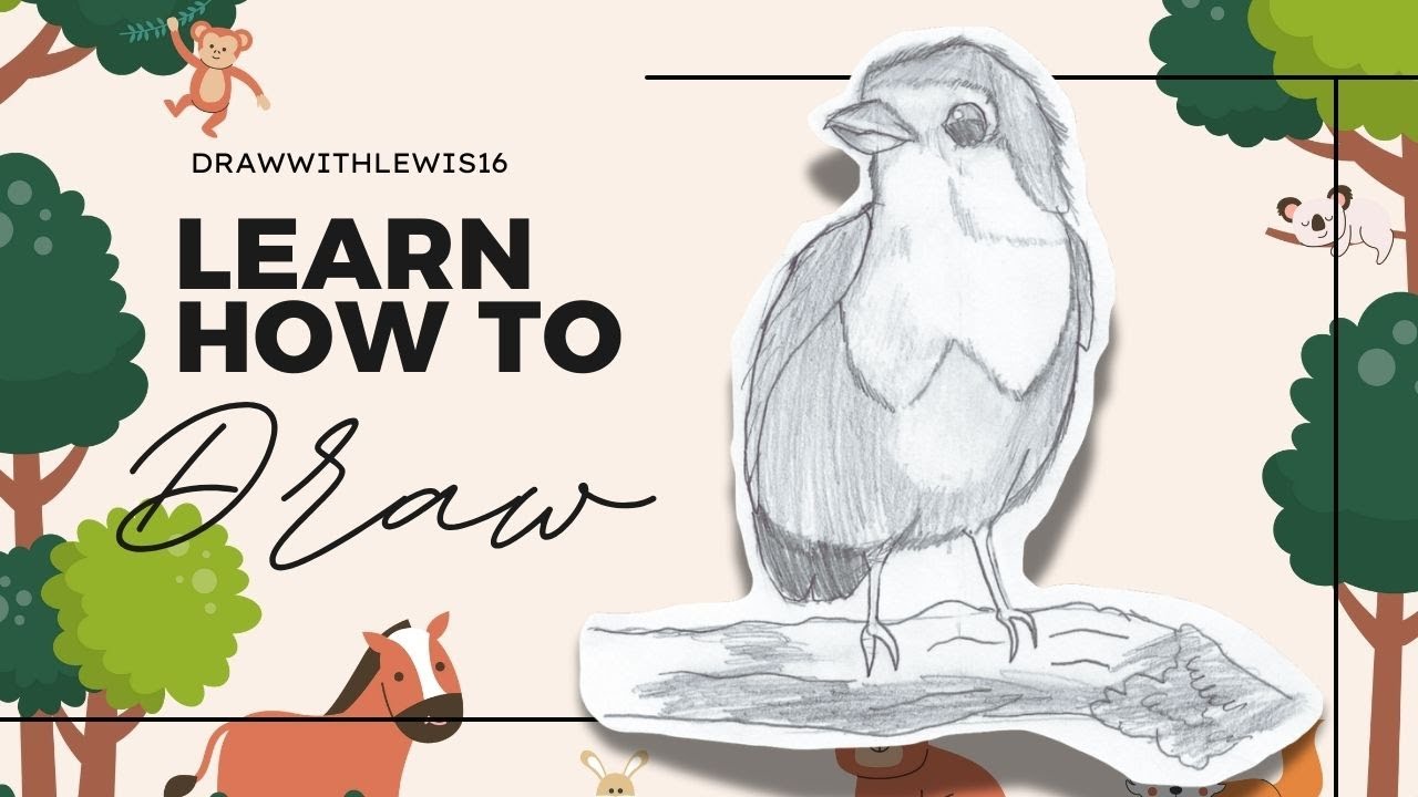 How To Draw A Robbin Kids Version Step By Step Basics Easy Drawing