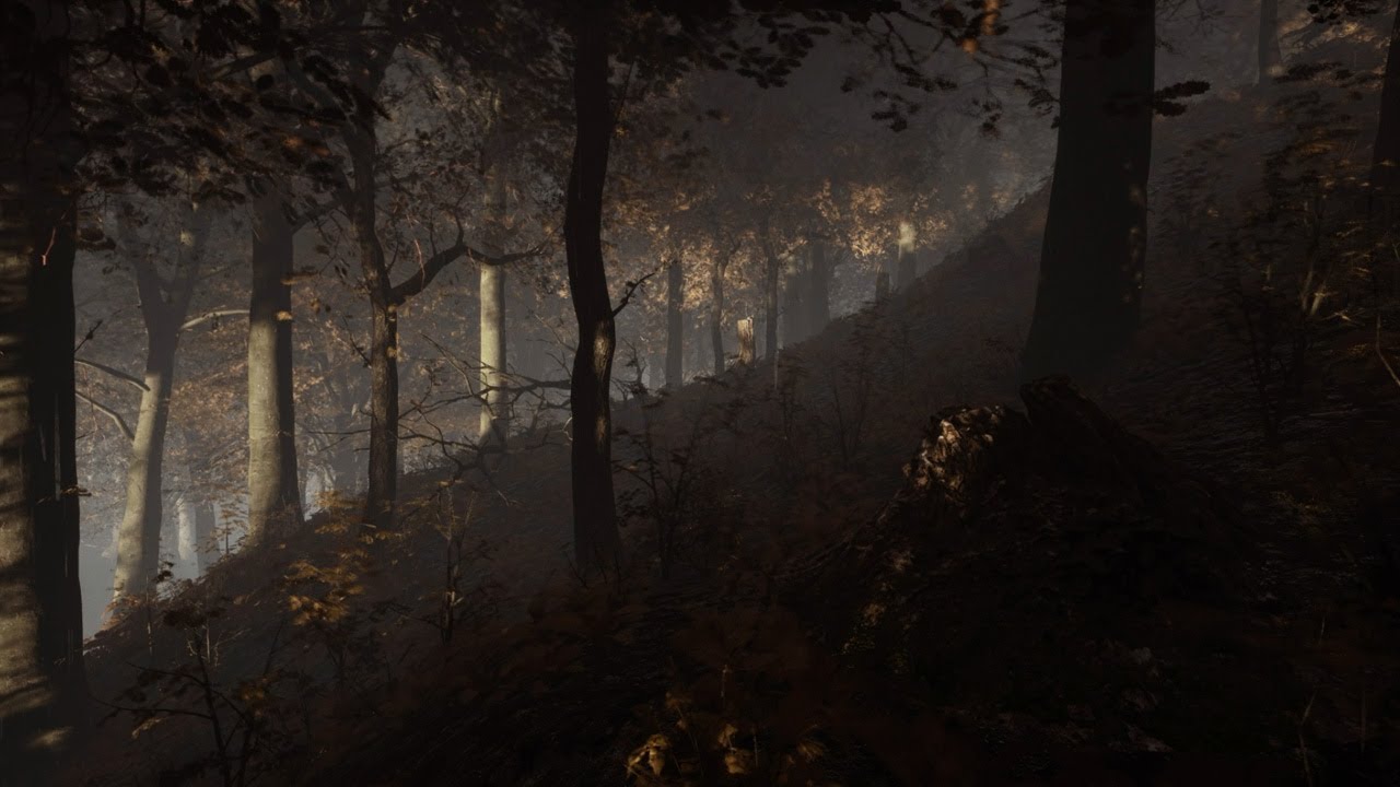 Rain In The Forest Sounds For Sleeping Video At Night Part 3 Youtube