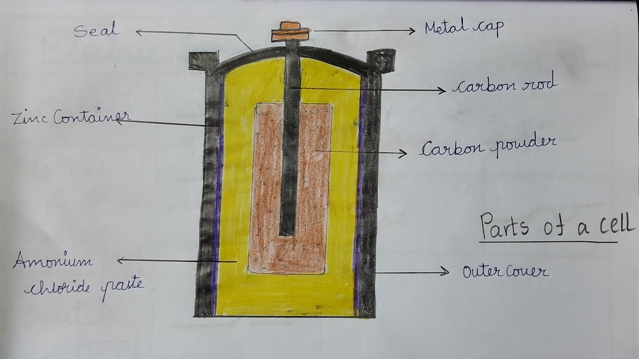 How To Draw Parts Of Cell Battery Battery Parts Drawing Science Diagram