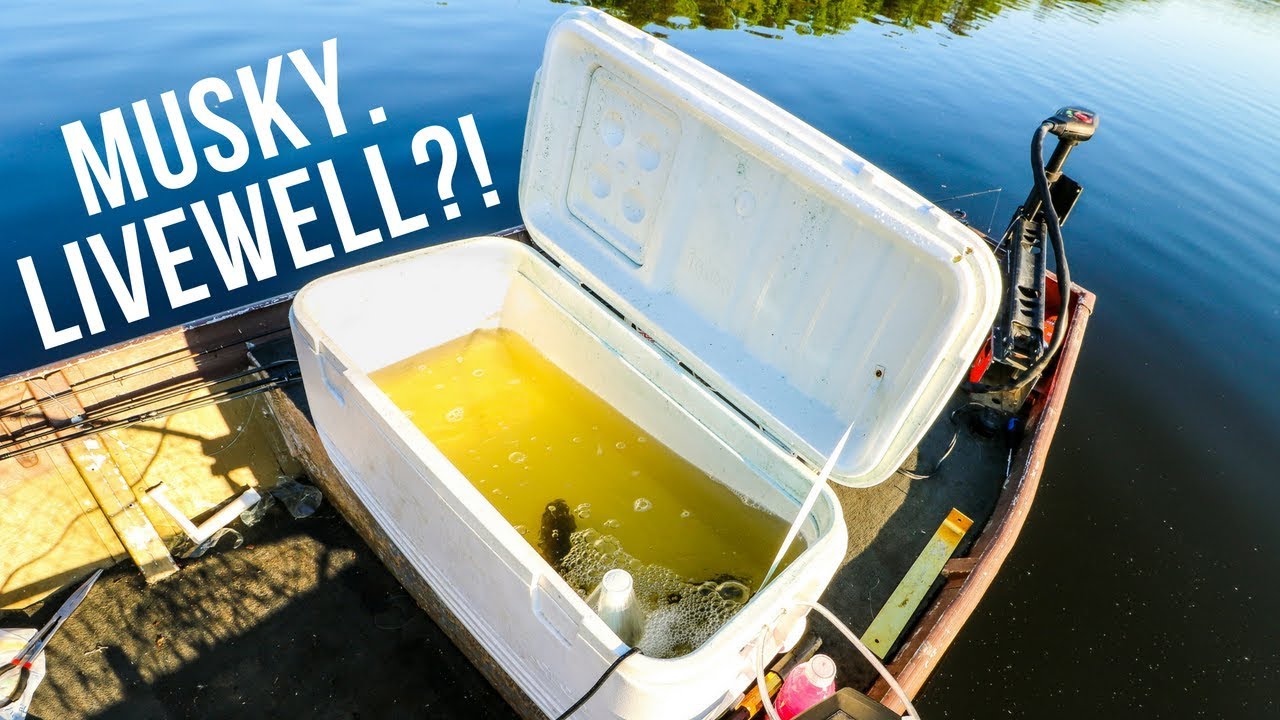 How To Make Your Own Diy Livewell Design Talk