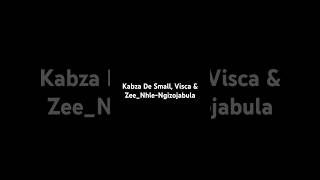 Kabza De Small Visca Zee Nhle Ngizojabula Official Audio Amahits Mp3 Music & Mp4 video downloads