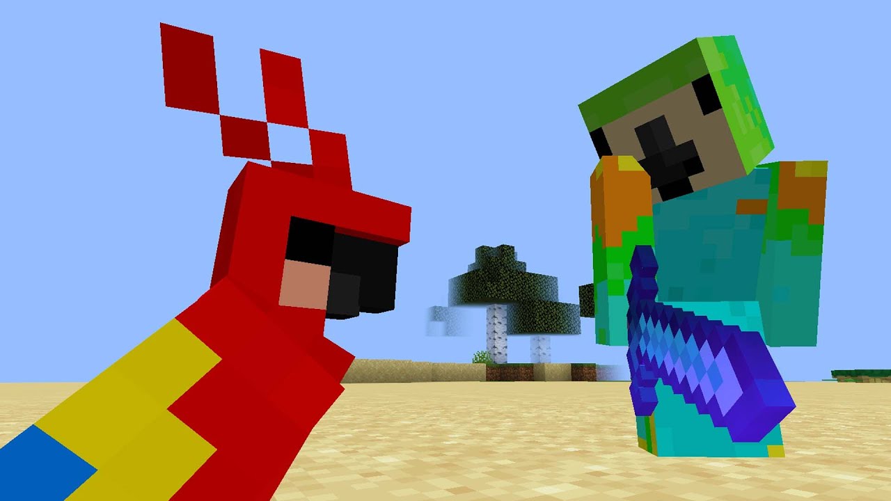 How I Saved My Parrot Youtube