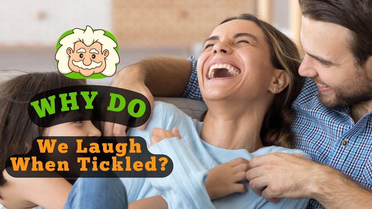 Why Do We Laugh When Tickled Youtube
