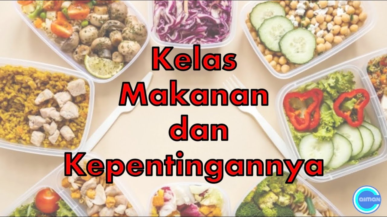 7 Kelas Makanan Sains Tahun 3 7 Kelas Makanan Sebelum Ikan