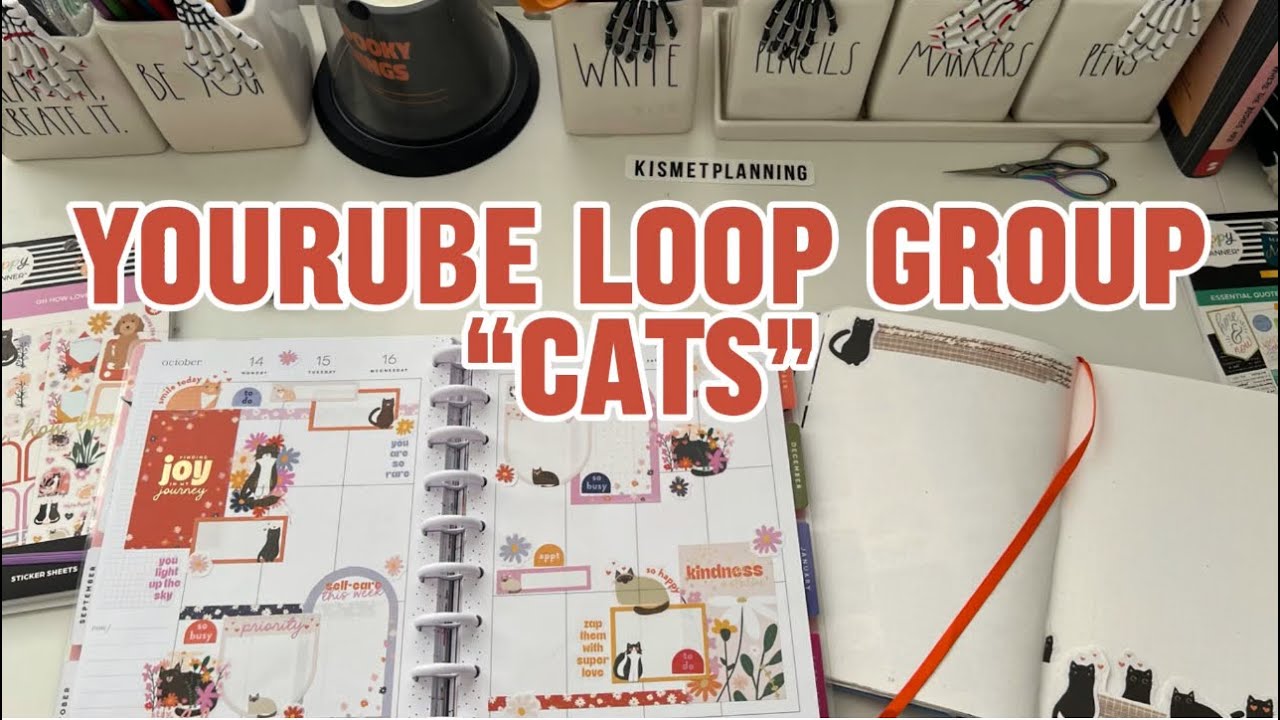 Youtube Loop Group Cats Youtube