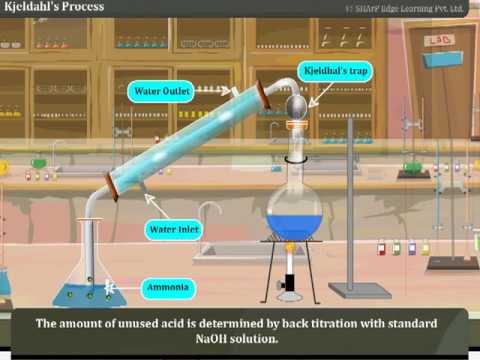 Kjeldahal Process Youtube