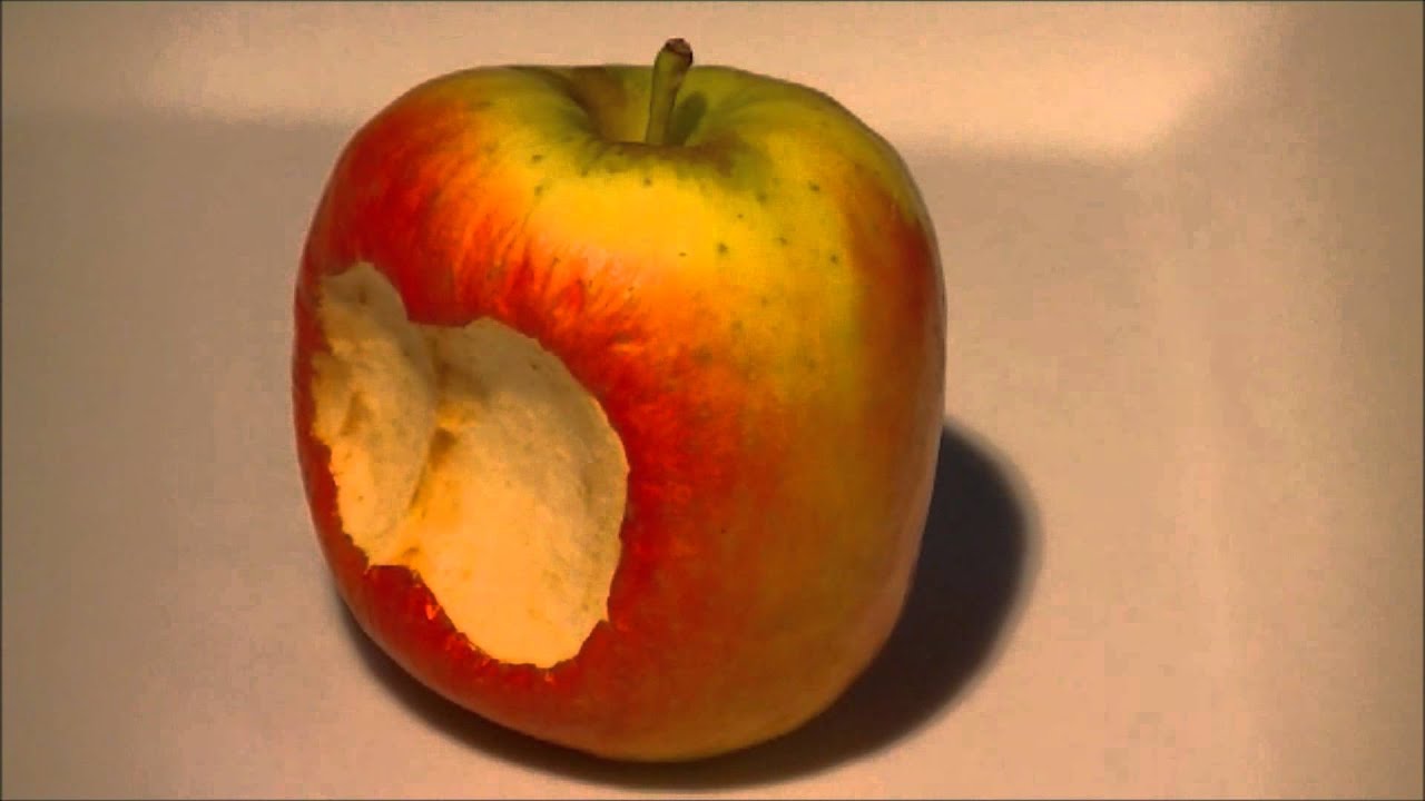 Decomposing Apple Time Lapse Youtube
