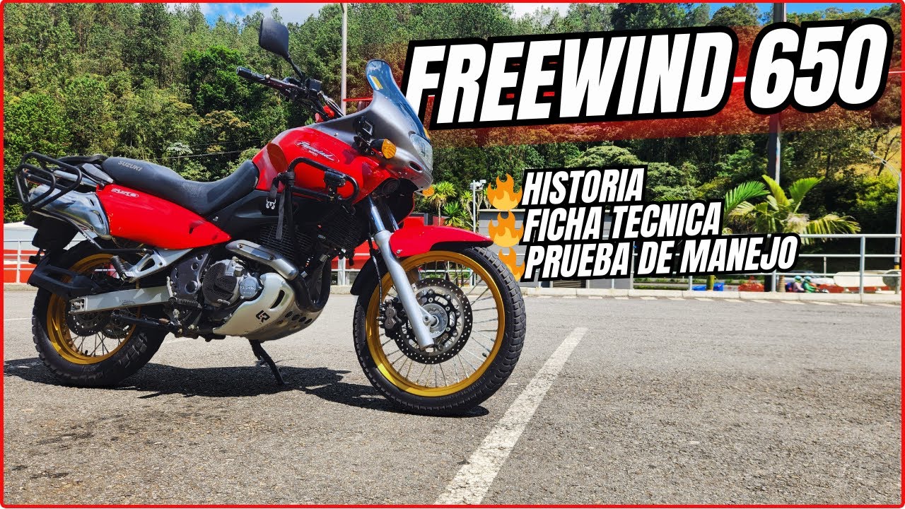 Suzuki Freewind 650 1999 En 2023 рџ ґвїvale La Pena Youtube