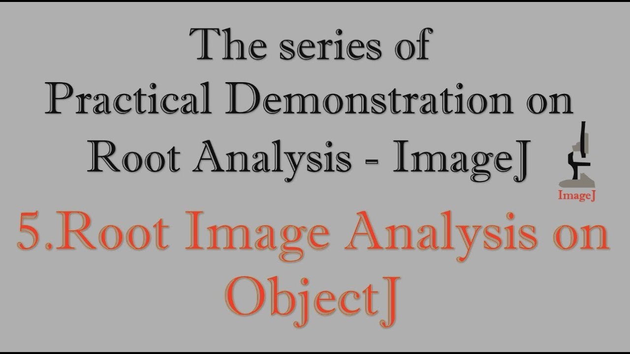 Practical Demonstration On Root Analysis 5 Root Image Analysis On