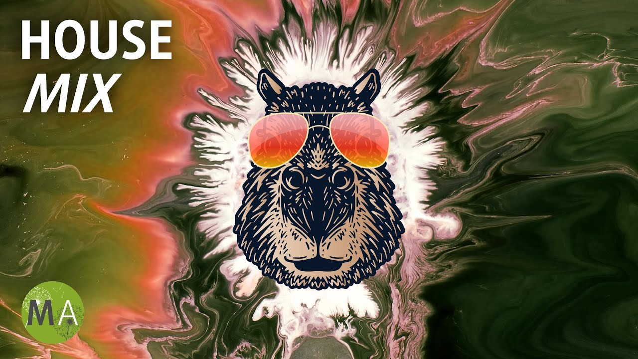 Upbeat Study Music Deep Focus House Mix Capybara Isochronic Tones