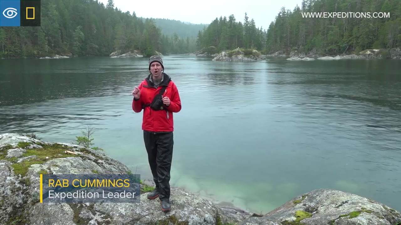 Secrets Of The Temperate Rainforest Pacific Northwest Lindblad