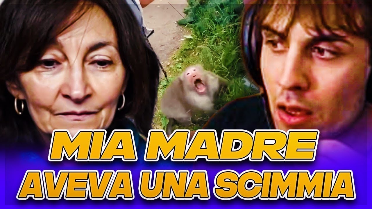 Spaventosi Incontri Animali Assieme A Gianmarco Tocco Youtube