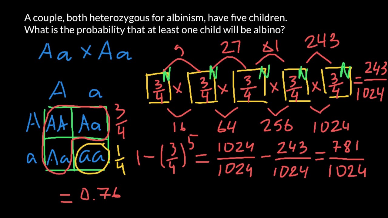 How To Solve Simple Probability Problems In Genetics Youtube