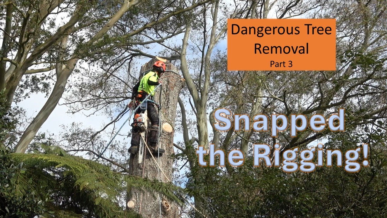 Tree Removal Rigging Fail Part 03 Youtube