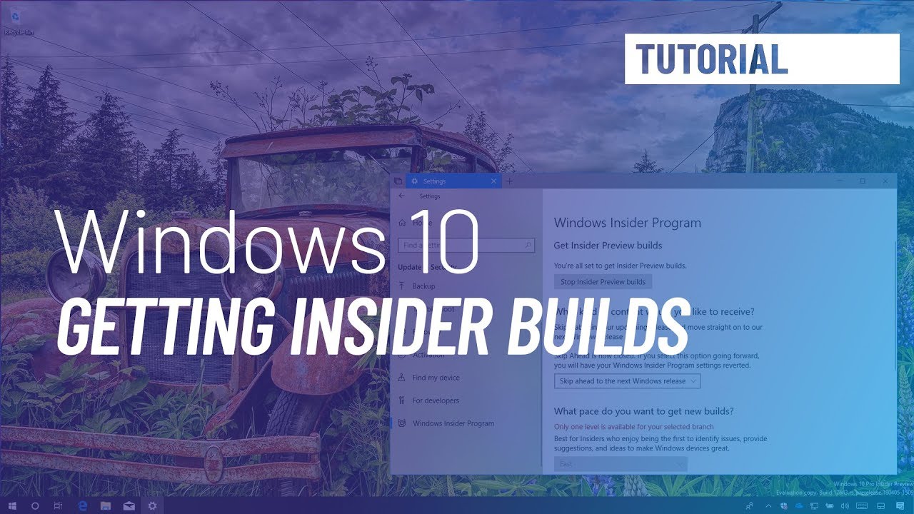 Windows 10 Insider Preview Version At Victor Easley Blog