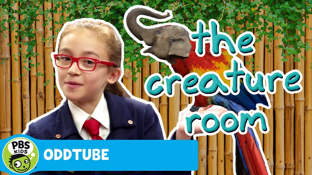 Oddtube The Creature Room Pbs Kids Youtube