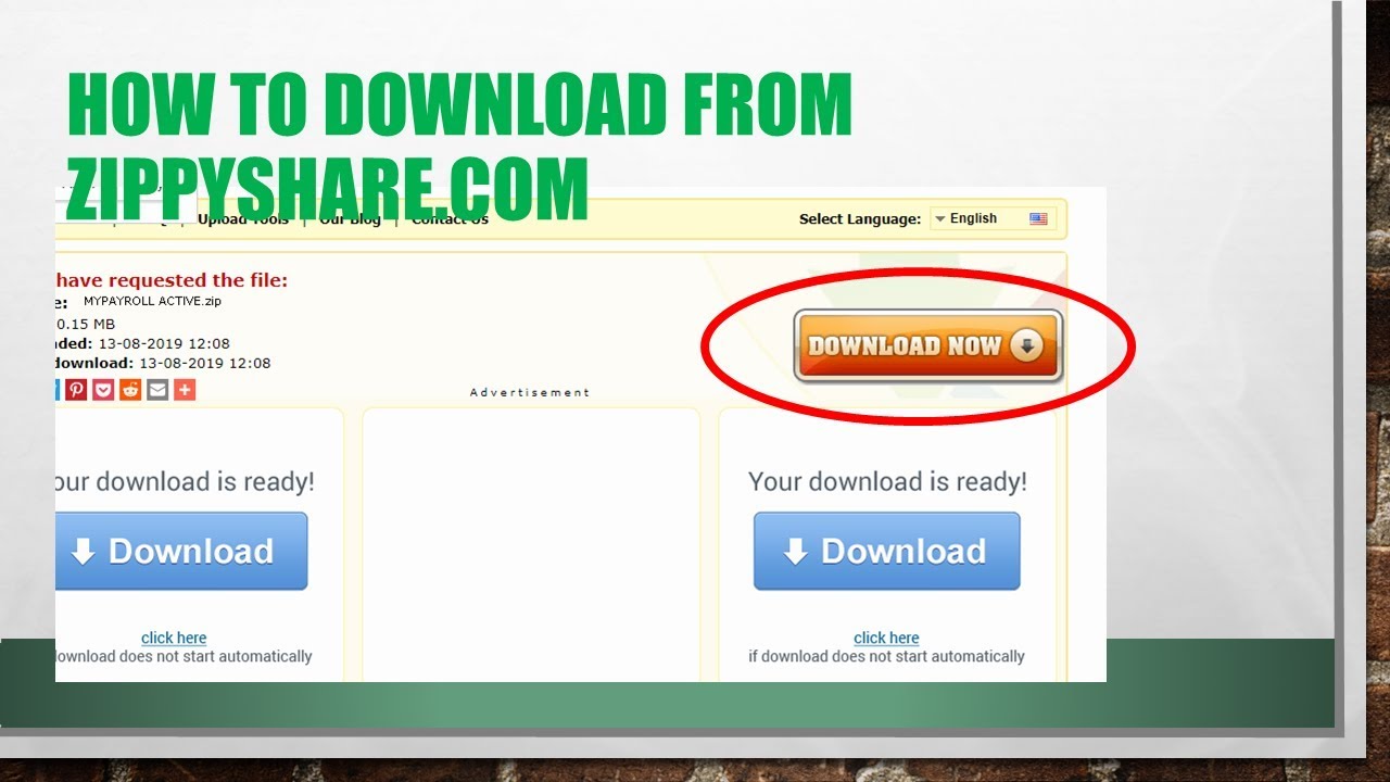 How To Download Files From Zippyshare Zonenew