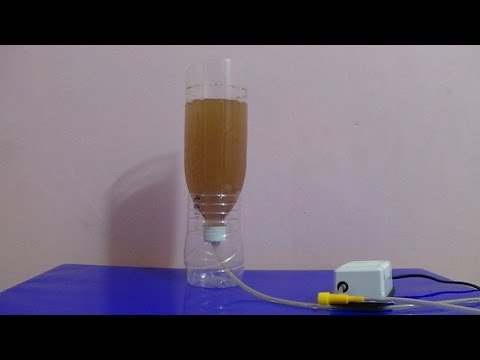 How To Hatch Brine Shrimp Eggs Youtube