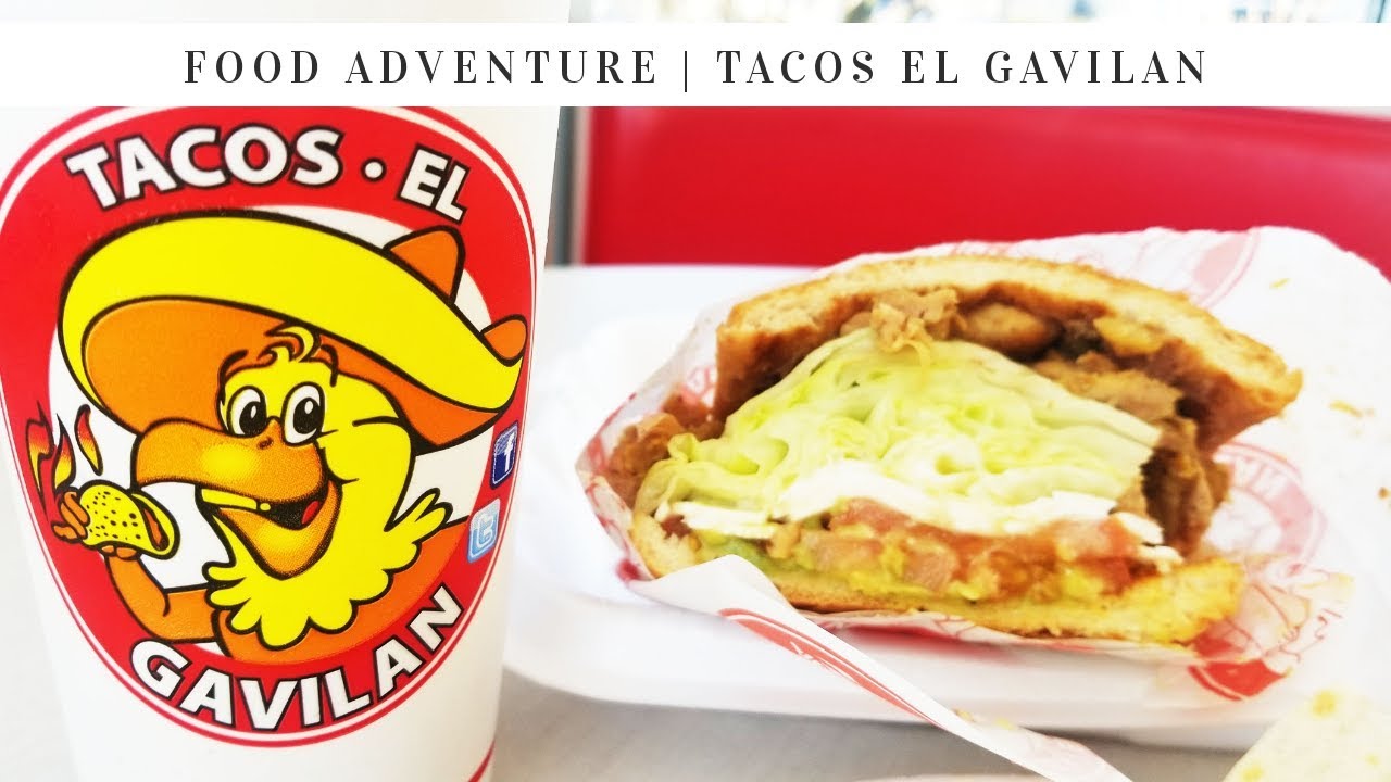 Food Adventure Tacos El Gavilan Youtube