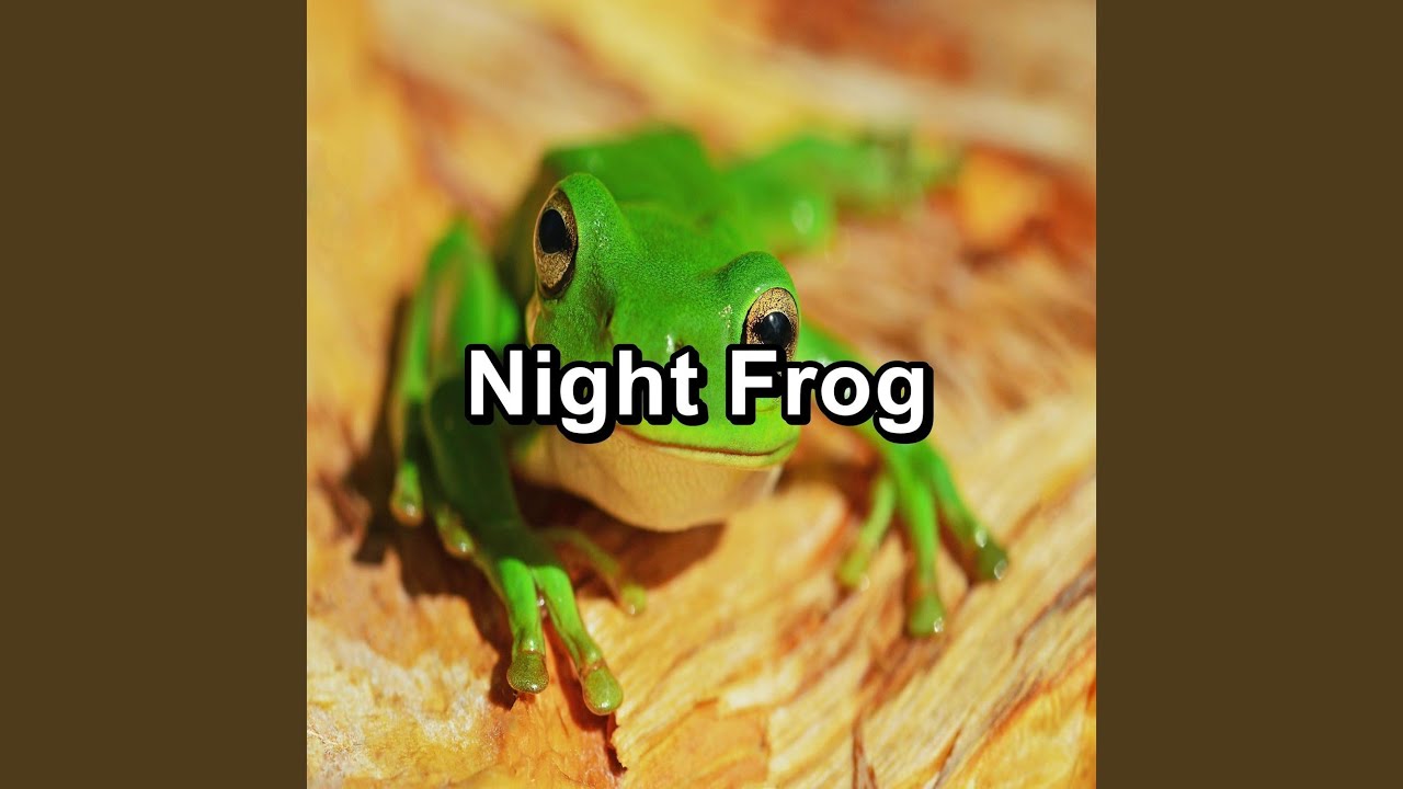 Frog Sounds Youtube