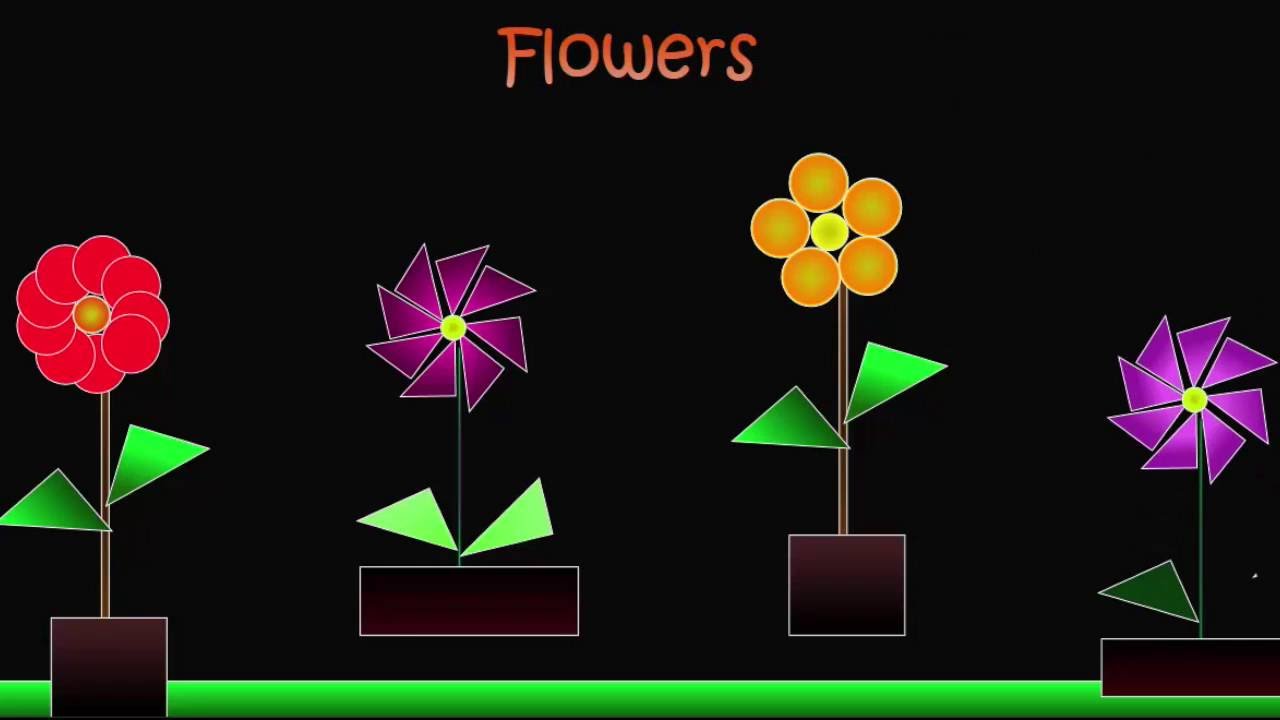 Basic Shapes Youtube