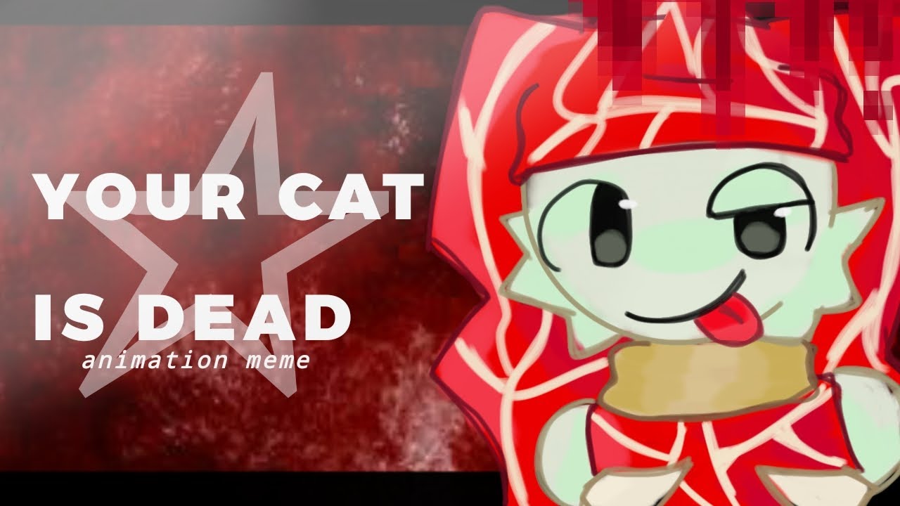 Your Cat Is Dead Animation Meme Regretevator Quero O Miché De