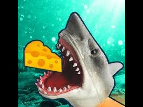 Shark Puppet Eats Expired Cheese Youtube