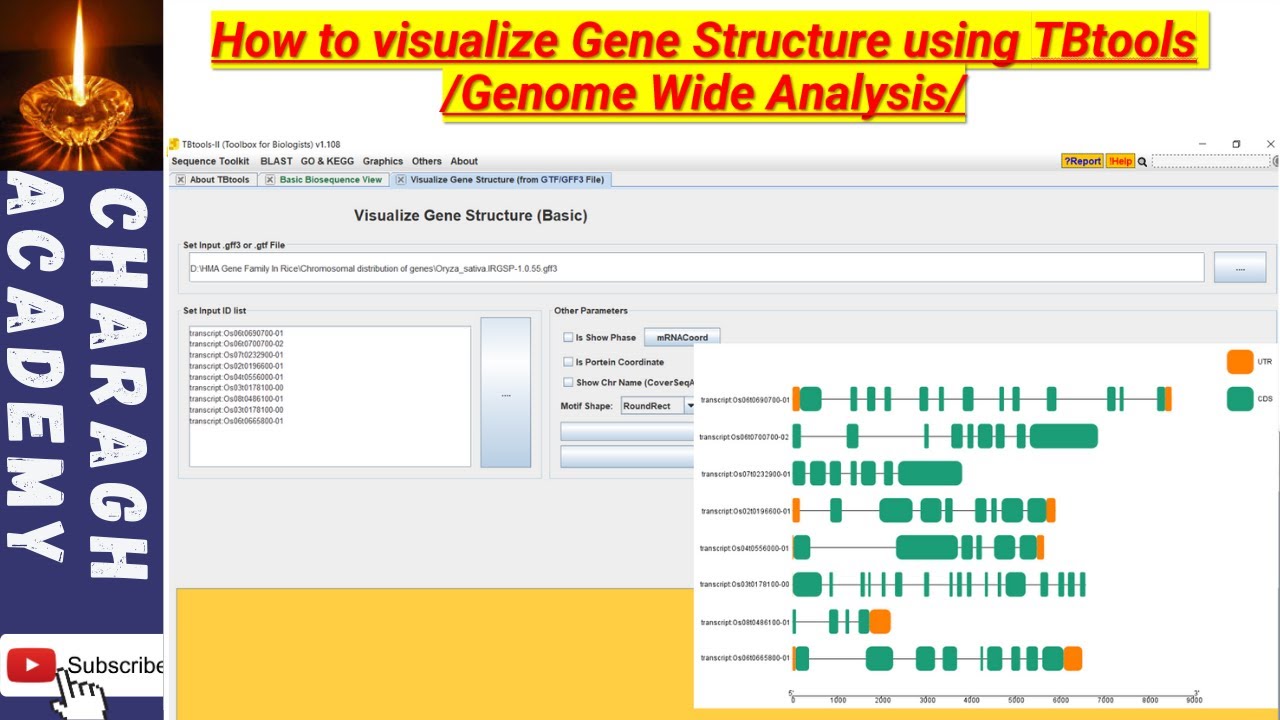 How To Visualize Gene Structure Using Tbtools Genome Wide Analysis