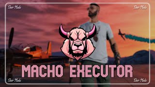 Macho Fivem Cheat Software 2025 Lua Executor Ft Deer Mods Killer Mp3 ...