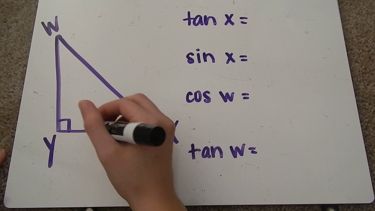 Basic Trigonometry Tutorial At Annabelle Wang Blog