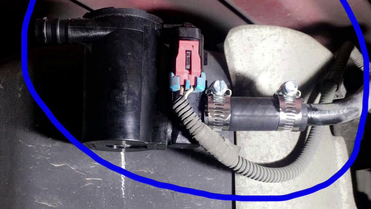 Evaporative Emission Canister Purge Solenoid Valve At Tina Lown Blog