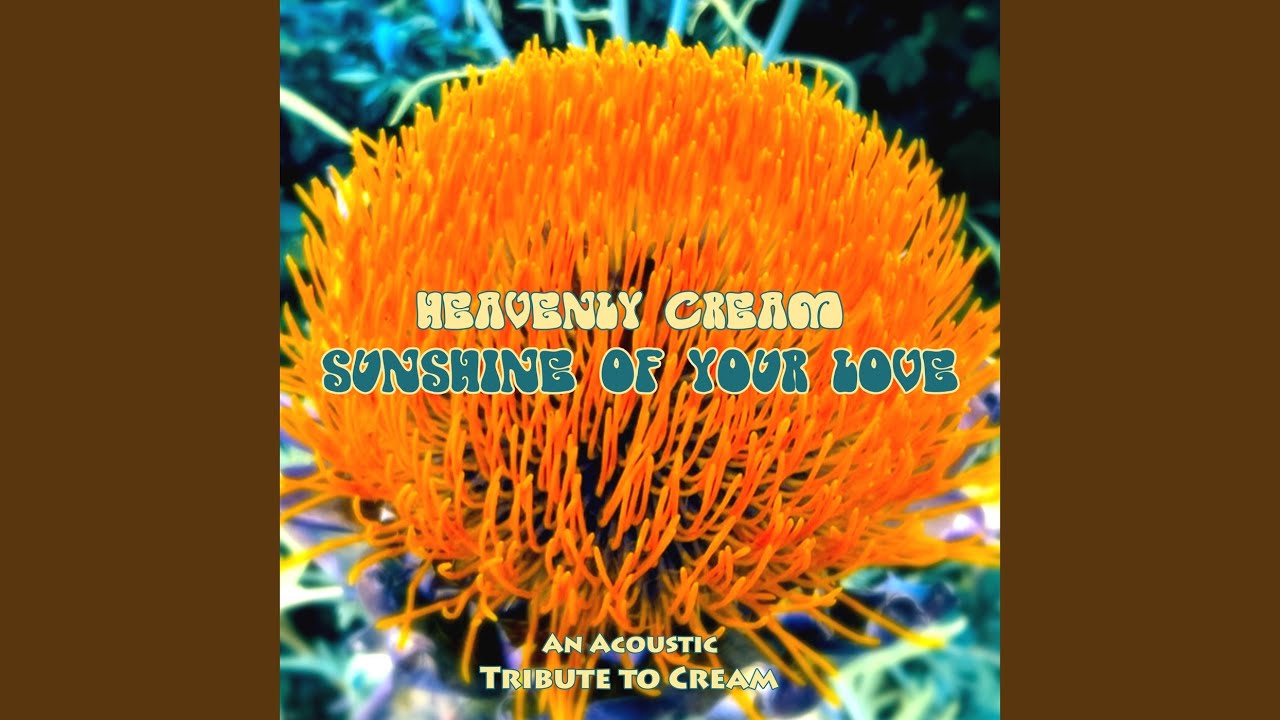 Sunshine Of Your Love An Acoustic Tribute To Cream Youtube Music