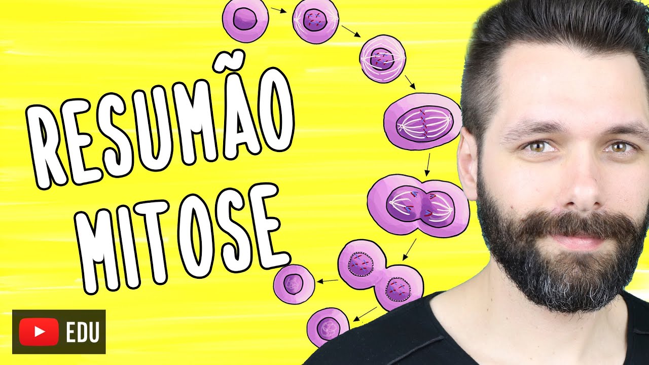 Resumo Sobre Mitose Biologia Com Samuel Cunha Youtube