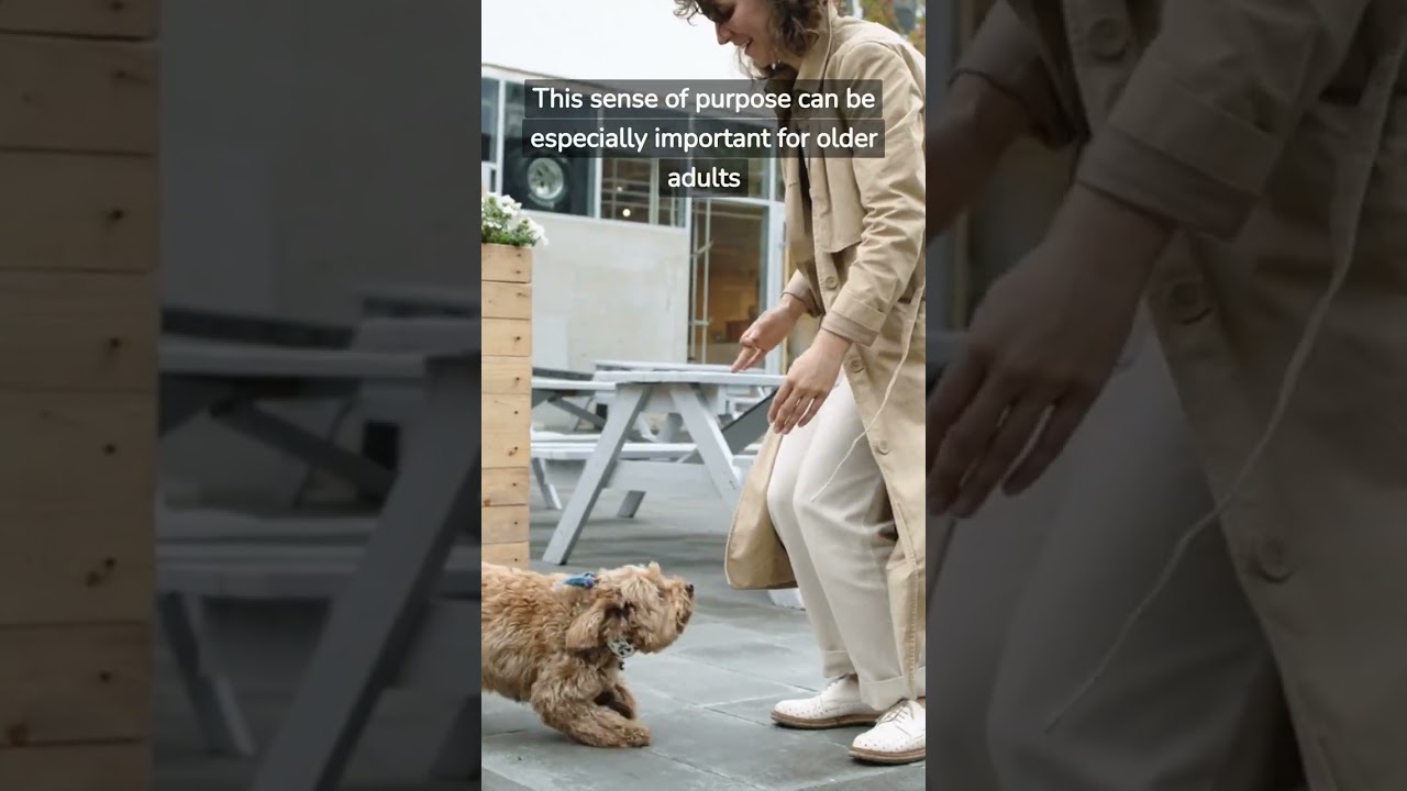 Caring Cat Viral Short Housepetscare