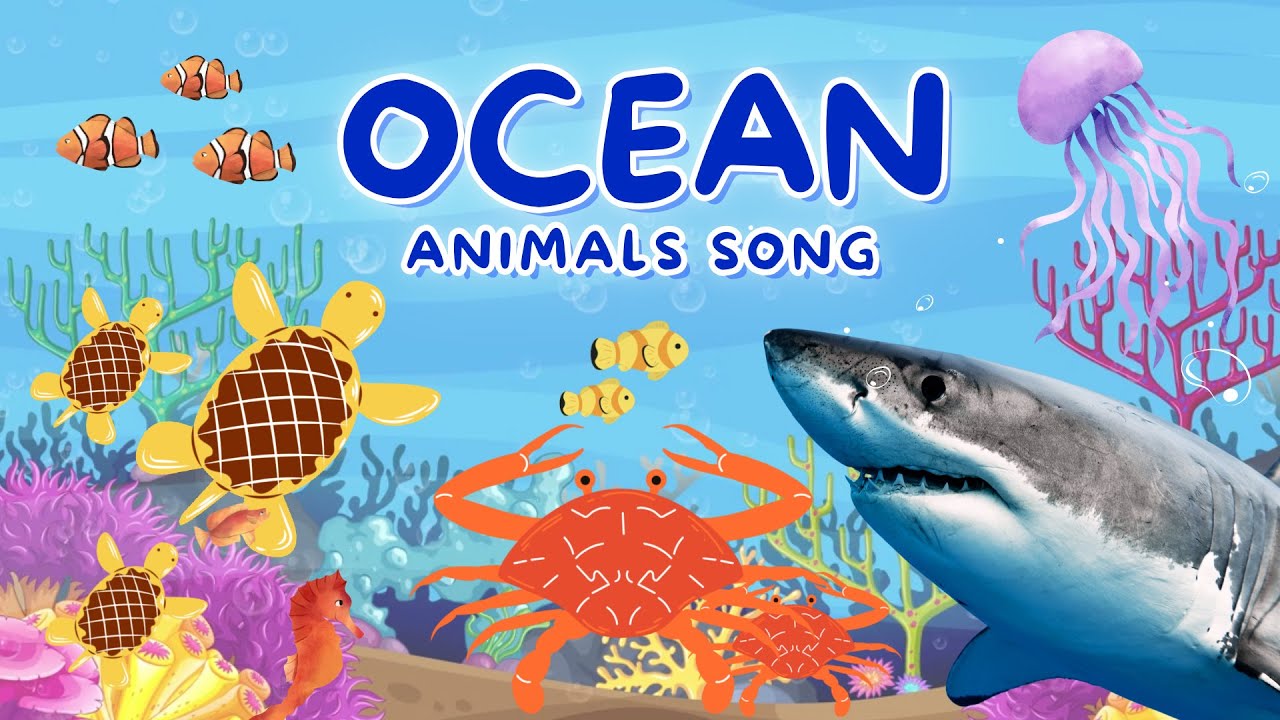 Fun Learn About Ocean Animals Song ёяра Sea Animals For Kids ёямк