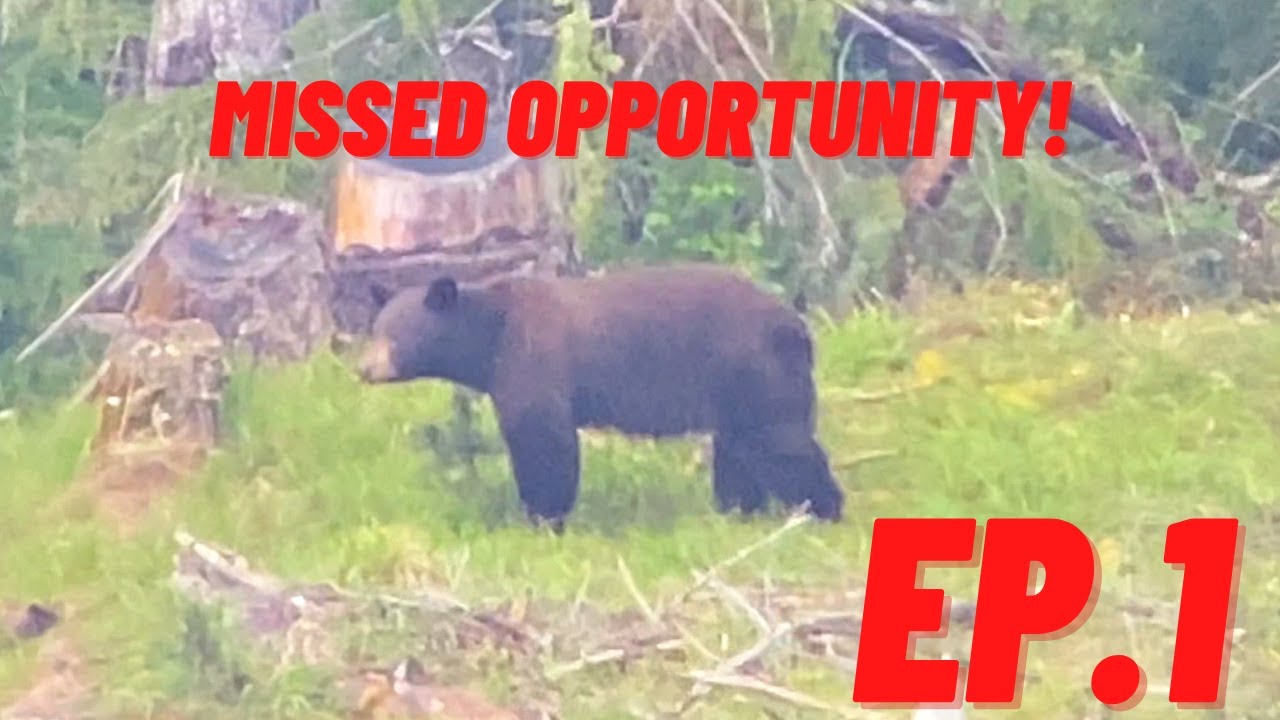 Oregon Spring Bear Hunt 2022 Ep 1 Youtube