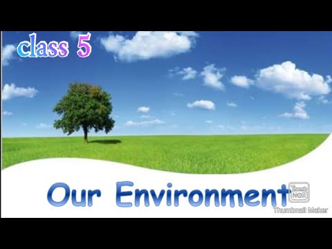Our Environment Class 5 Social Studies Youtube