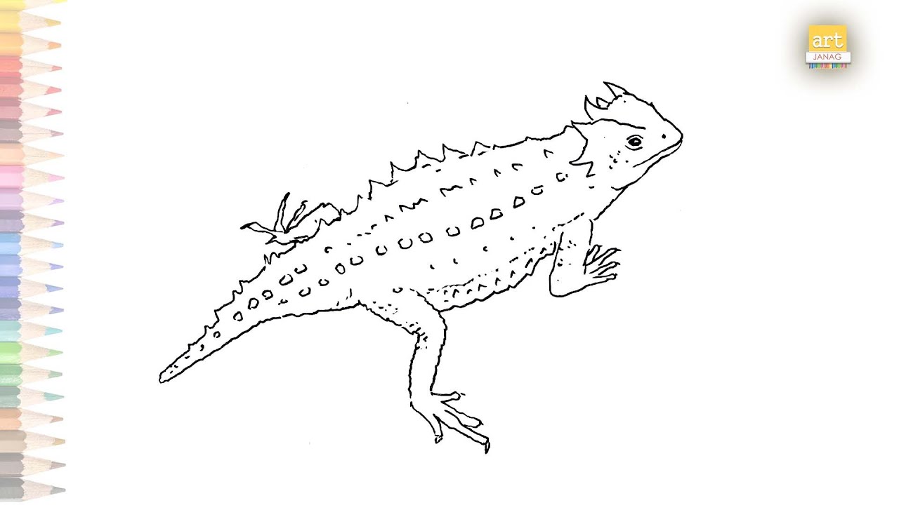 Texas Horned Lizard Drawing Easy Lizards Drawing How To Draw Texas