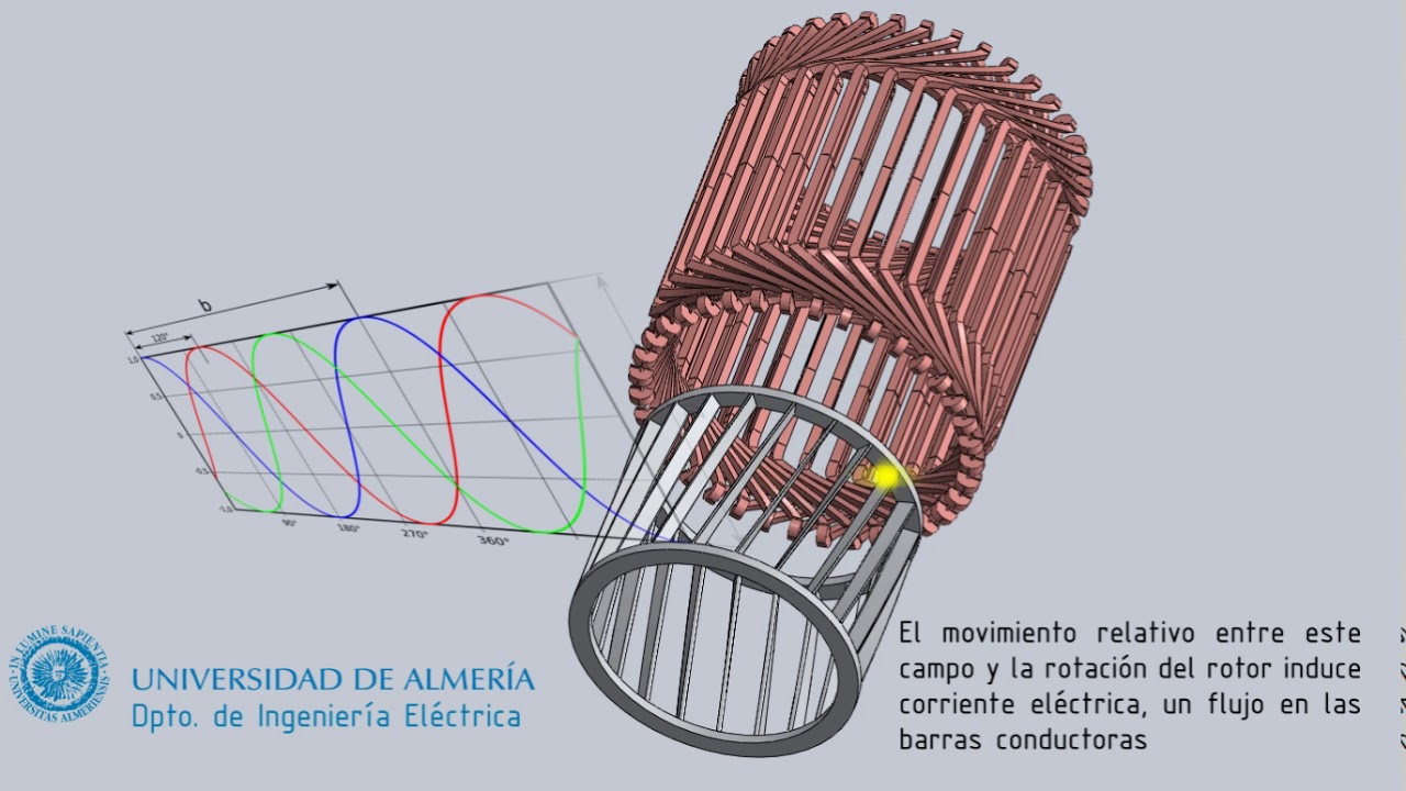 Motor Jaula De Ardilla Youtube